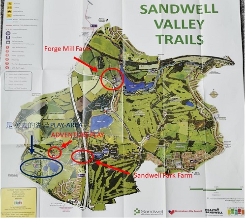 伯明翰親子遊景點:Sandwell Valley Country Park（下篇） - 果子纍纍