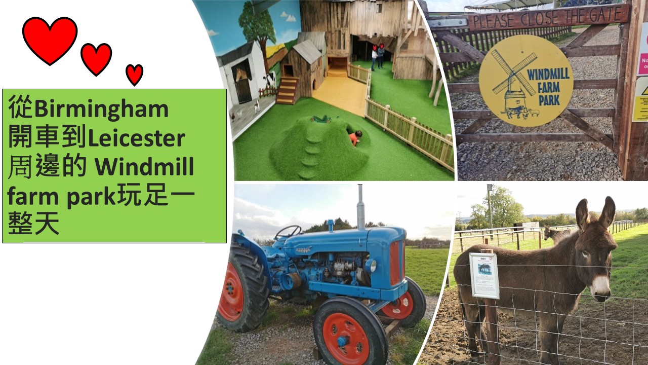 從Birmingham開車到Leicester周邊的 Windmill farm park玩足一整天 - 果子纍纍